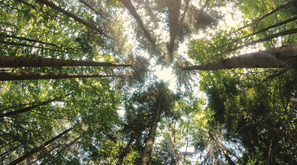 Private Debt And Direct Lending Solutions - CORDET