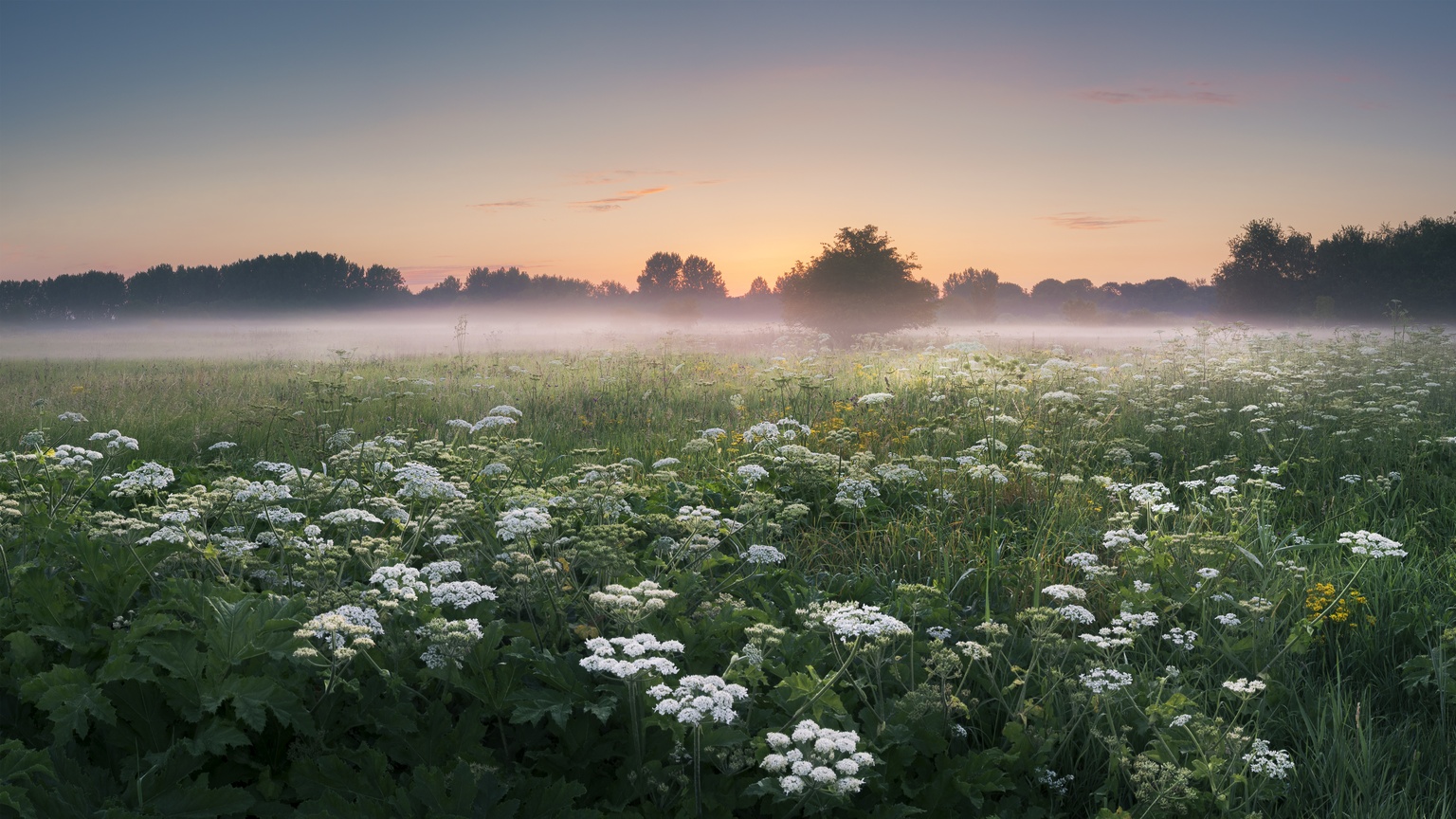 Private Debt And Direct Lending Solutions - CORDET